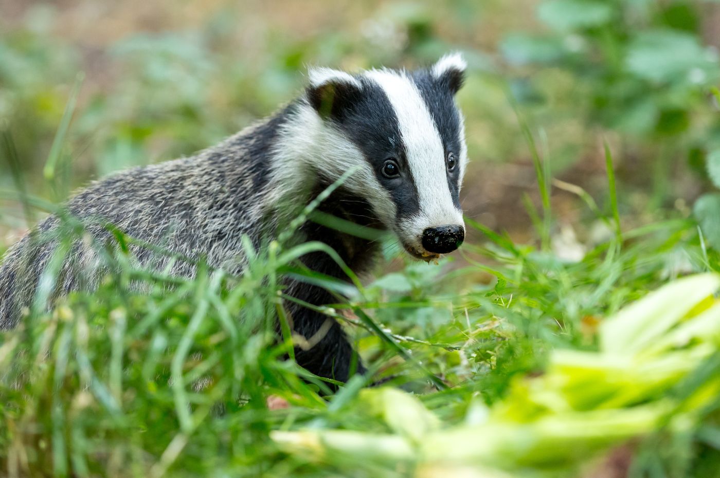 Tim Bonner: Which matters more, science or celebrity?